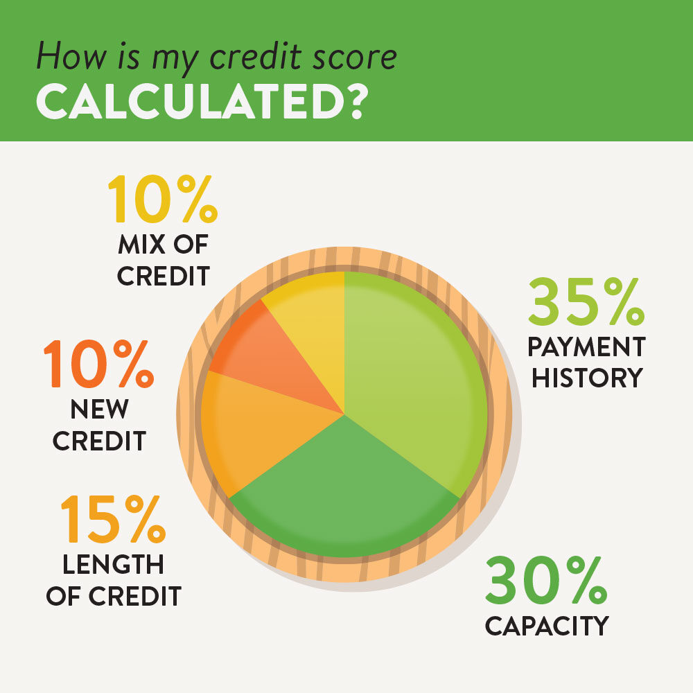 Credit Score Breakdown